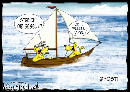 Segel streichen Bild - lustich.de